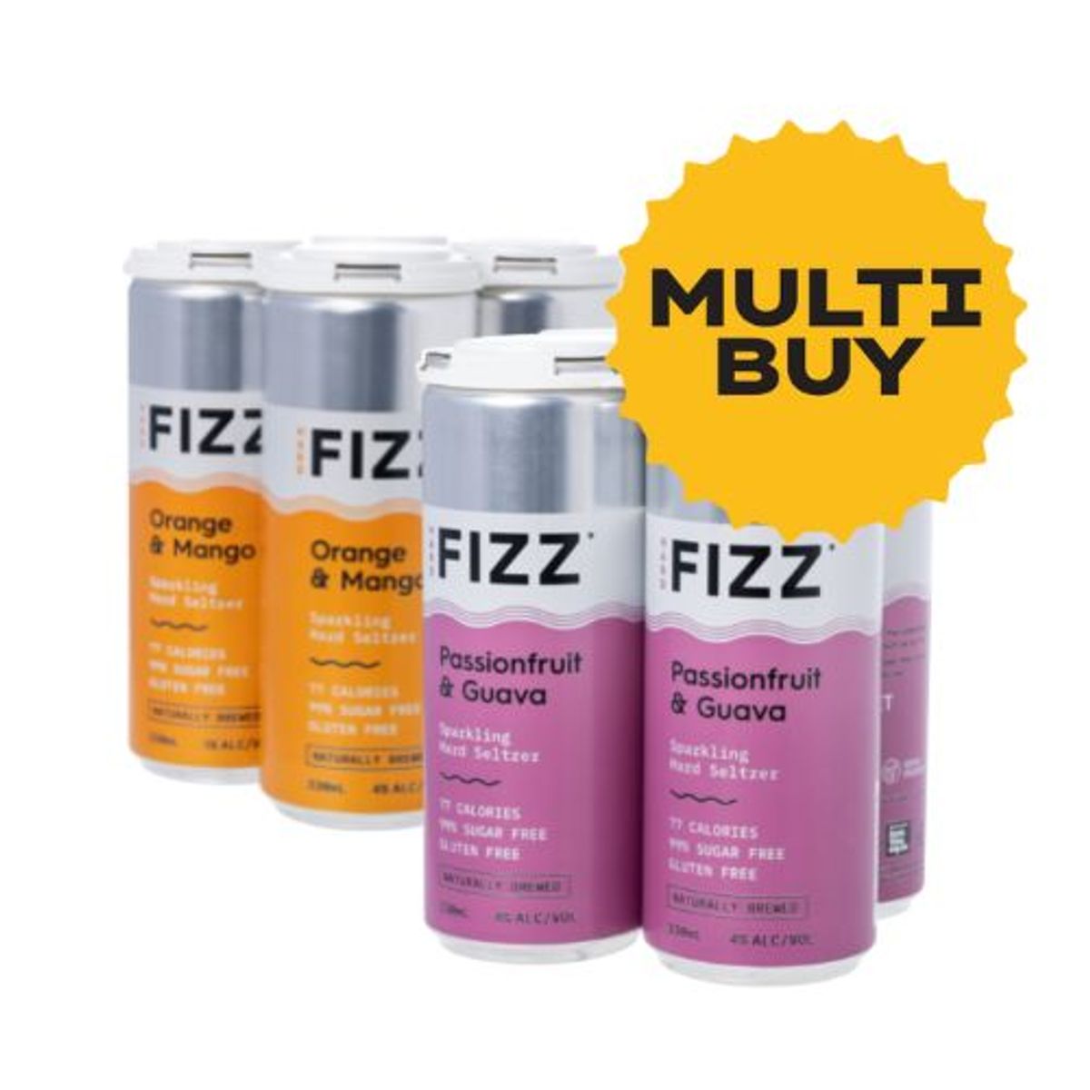 Hard Fizz 4 Pack | Thirsty Camel