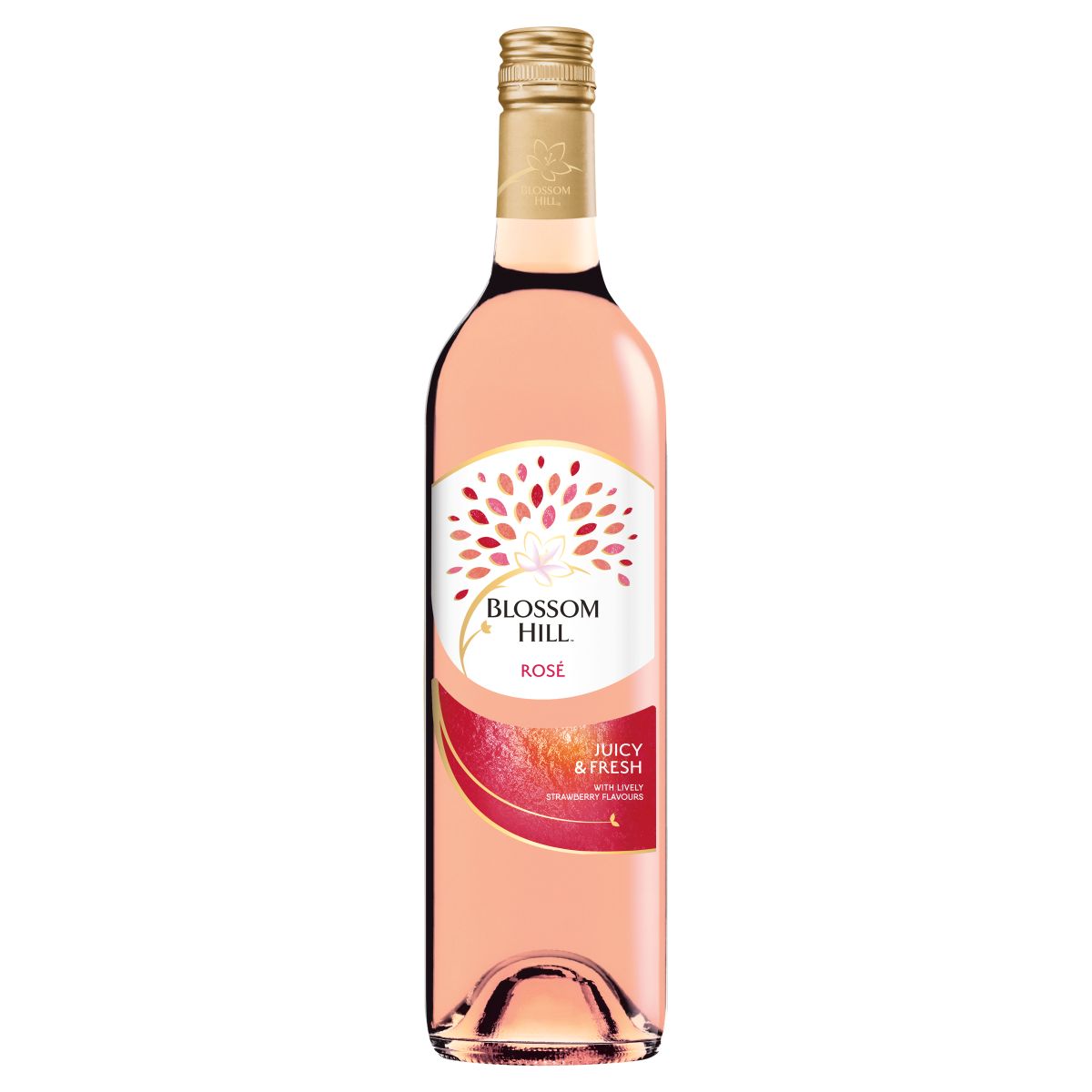 Blossom Hill Rosé | Thirsty Camel